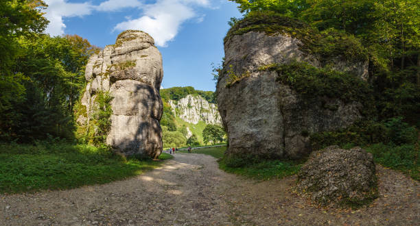 Top Countries with Protected Areas & National Parks: Names